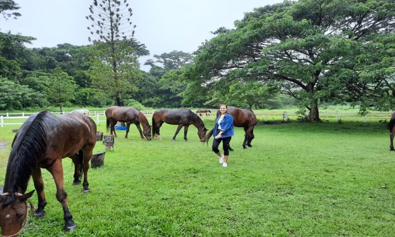 A Day at El Kabayo: Horseback Riding, Hiking & Waterfalls Adventure
