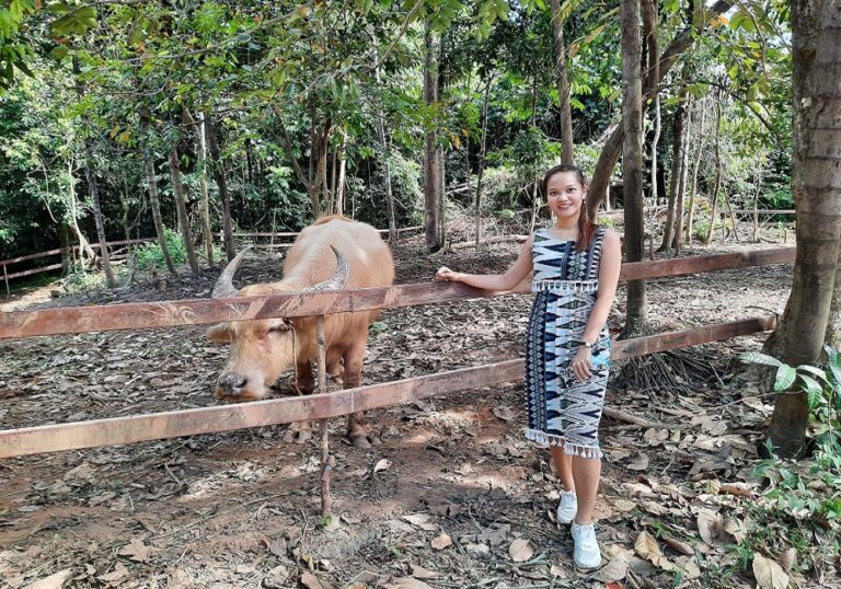 Subic Safari: An Exciting Zoo Experience with the Tigers and Wild Animals